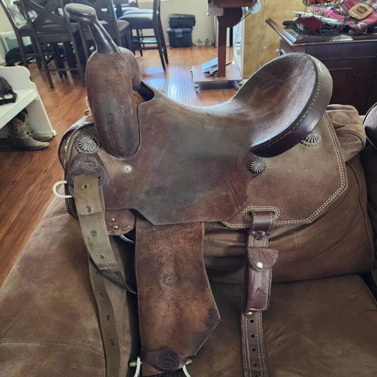 Buy 14 Used Robbie Philips Saddle - Luxury Saddles Online